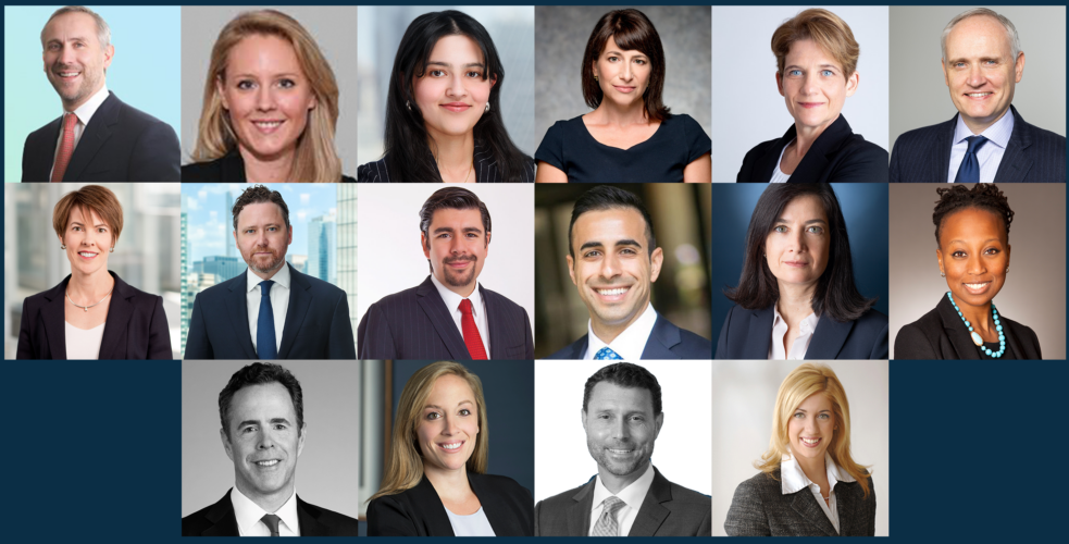 ROAP AMERICAS - FACULTY | Delos Dispute Resolution