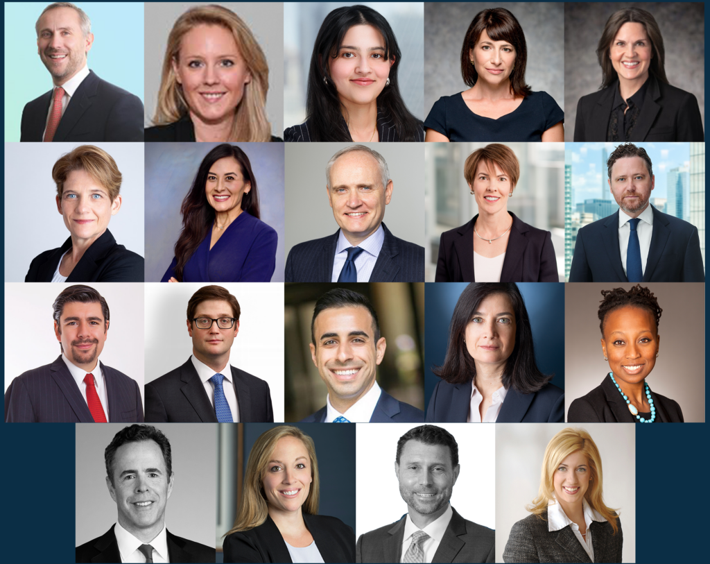 ROAP AMERICAS - FACULTY | Delos Dispute Resolution